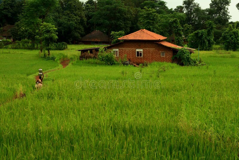 Hut in field stock image. Image of holding, head, pathway - 3725783