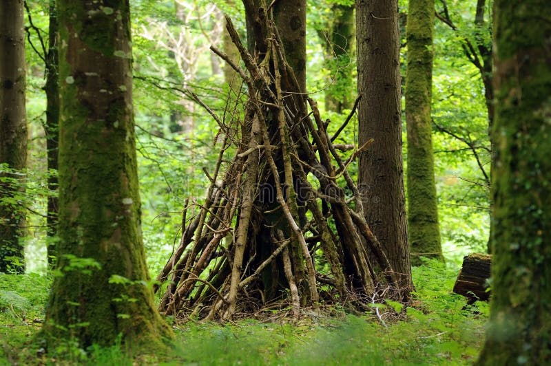 Hut in forest stock photo. Image of ireland, relaxation - 20090110