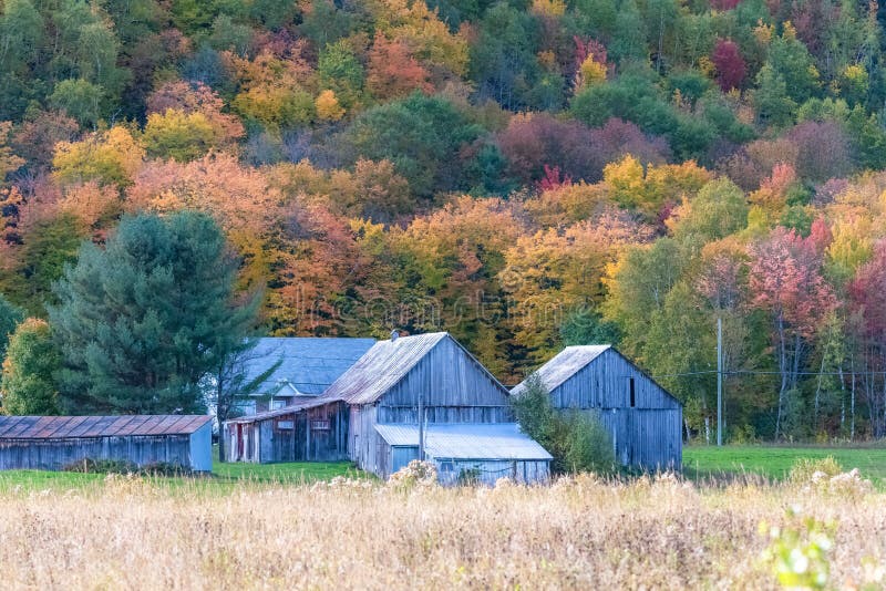 Hut in the Forest in Canada Stock Image - Image of beautiful, autumn ...