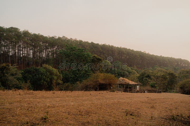 Hut in the Forest Garden at Sunset Stock Photo - Image of straw, cabin ...