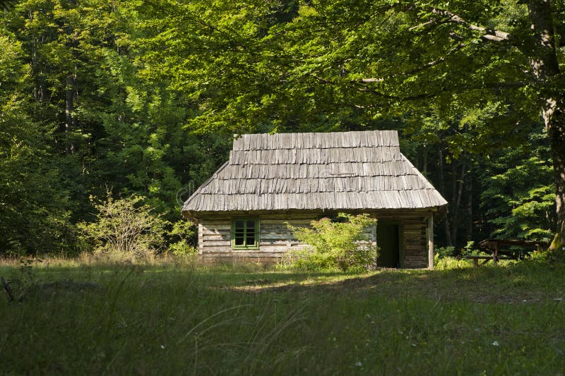 Hut in a forest stock image. Image of architecture, glade - 43865707