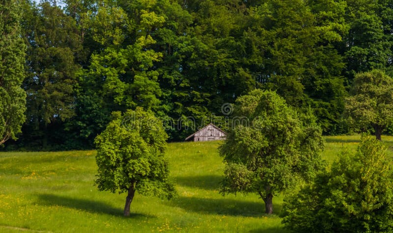 Hut in forest stock photo. Image of shadows, healt, woods - 122400322