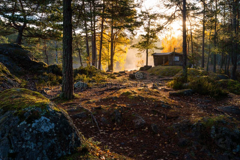 A Hut in the Forest during Sunrise Stock Photo - Image of stone, yellow ...