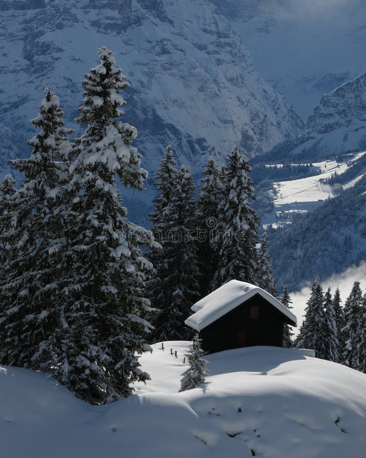 Hut and forest stock image. Image of chalet, contre, building - 49258075