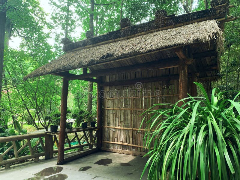 The gate of an old hut stock image. Image of gate, green - 195209875