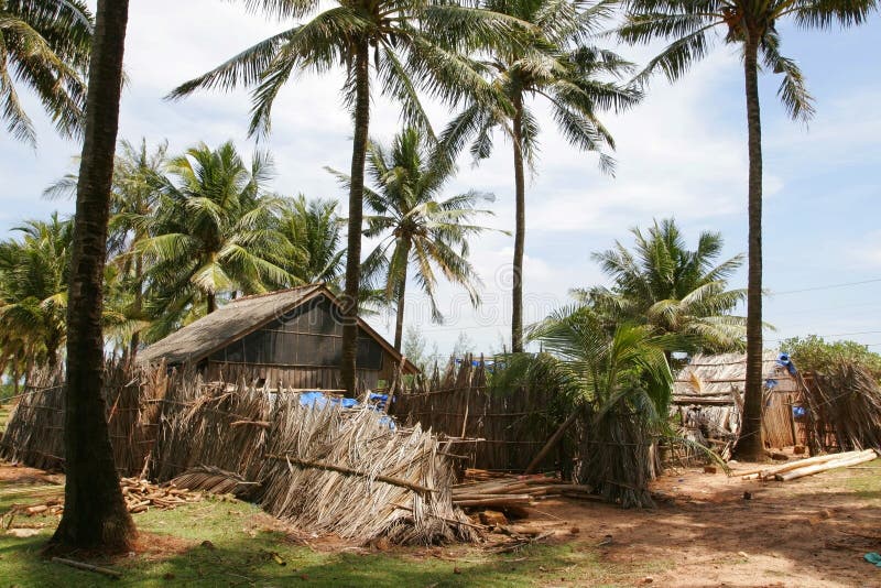 10,854 Jungle Hut Stock Photos - Free & Royalty-Free Stock Photos from ...