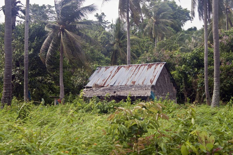 Hut in a jungle stock image. Image of idyllic, summer - 30821635