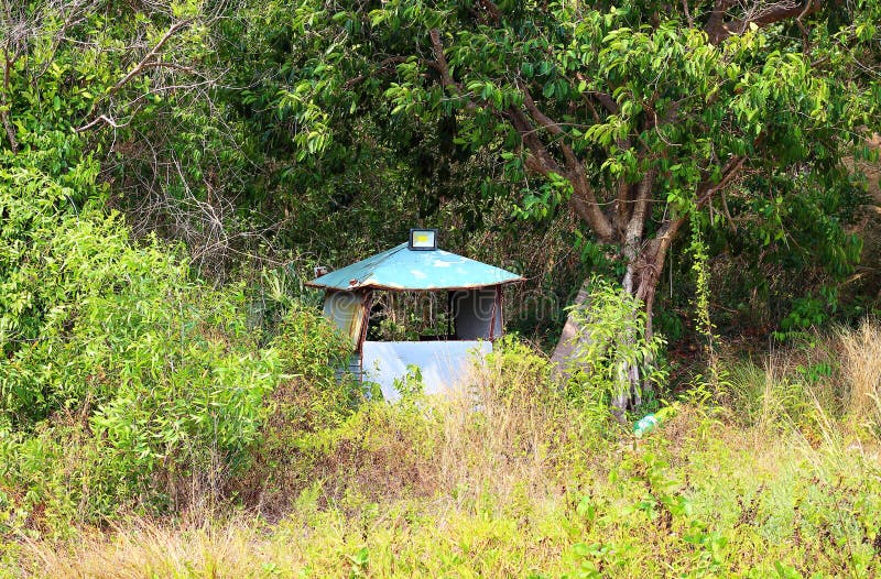 Hut in a jungle landscape stock photo. Image of asia - 147990880