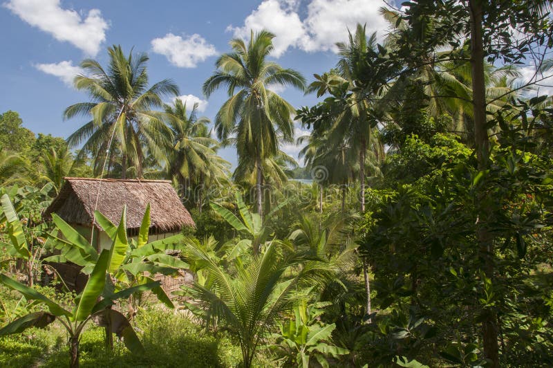 Hut in jungle stock image. Image of realty, port, barton - 38954435