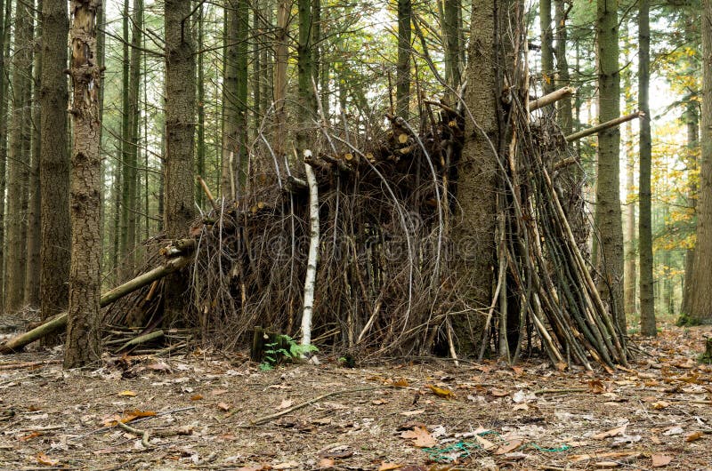 Hut made of branches stock image. Image of yellow, evergreen - 55097723
