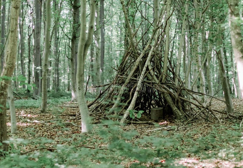 A Hut Made of Branches in the Forest. Stock Image - Image of ...