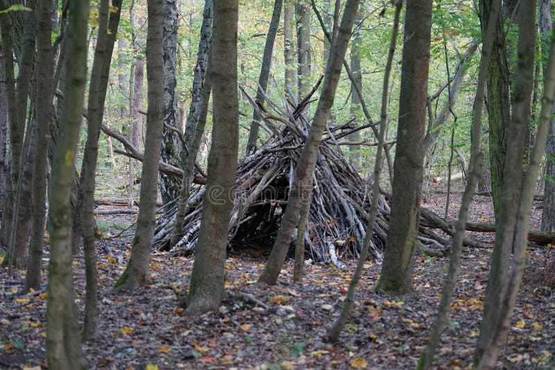 A Hut Made of Tree Branches in the Autumn Forest. Berlin, Germany Stock ...