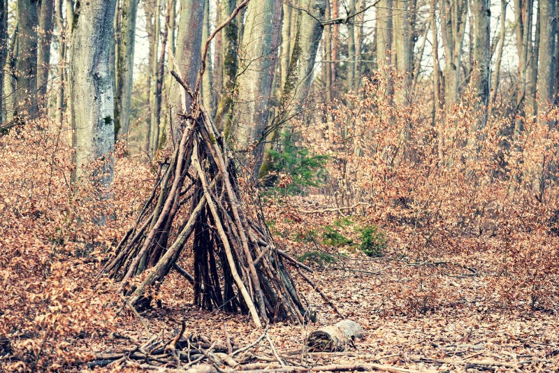 A Hut Made of Tree Branches Stock Image - Image of gold, footpath ...