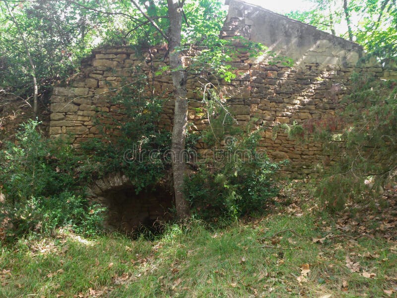 Hut in the Middle of Nature Stock Photo - Image of foliage, environment ...
