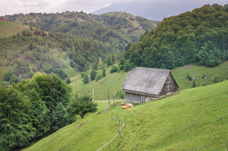 Hut in the mountains stock image. Image of carpathians - 53604349
