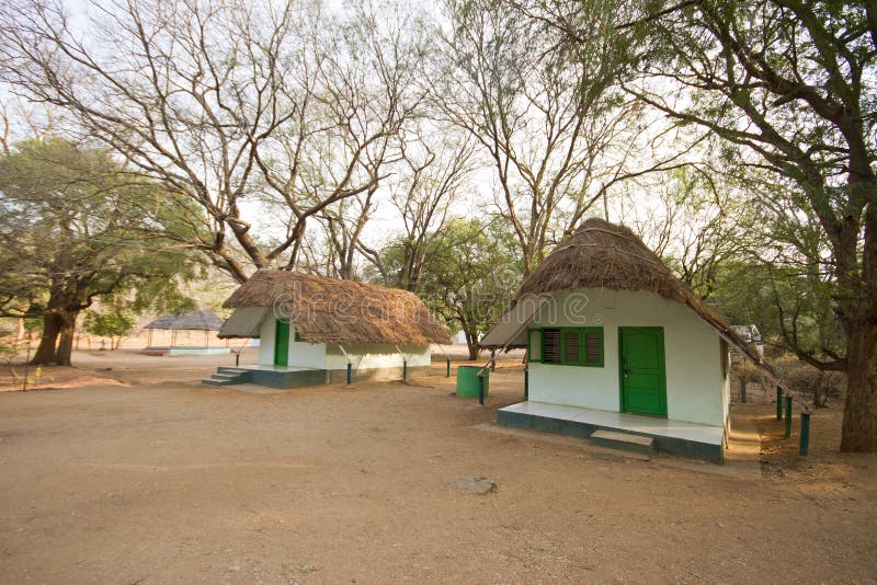 Muthathi Stock Photos - Free & Royalty-Free Stock Photos from Dreamstime