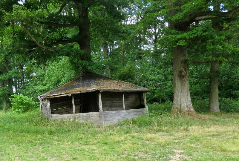 Hut1 stock image. Image of green, open, forest, trees - 148544885