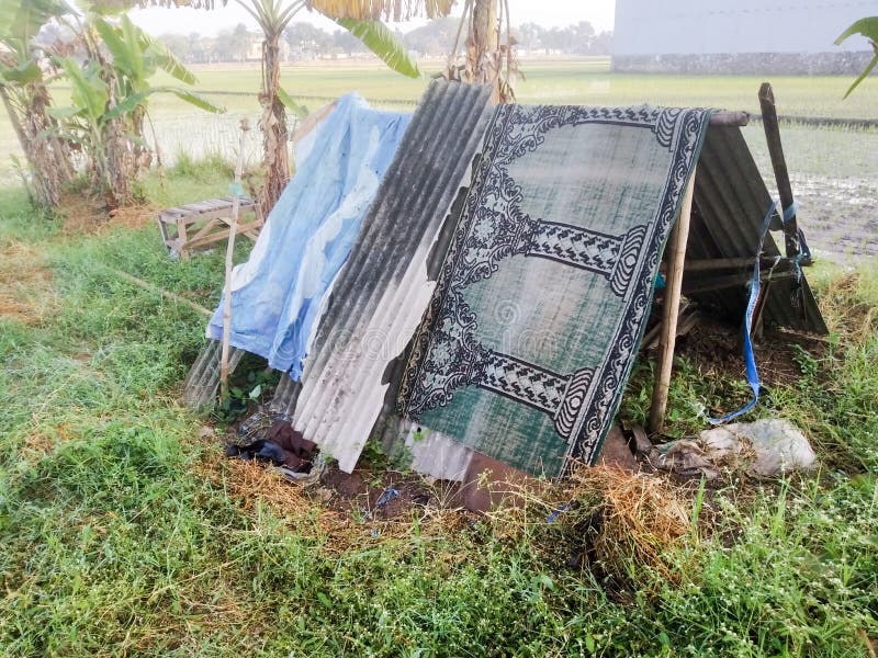 Hut for peasant rest stock photo. Image of tree, farm - 265084298