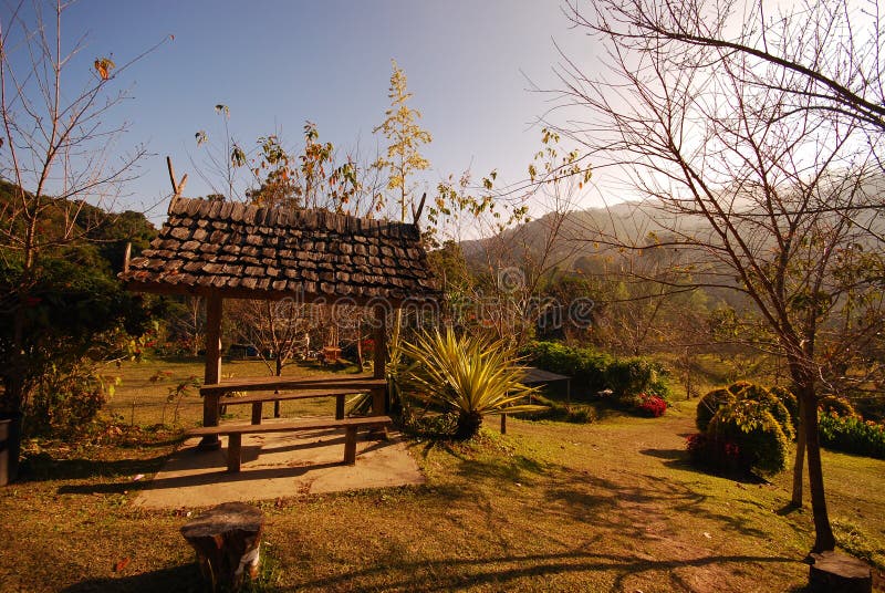 Hut and plant in forest stock photo. Image of blue, doll - 37426450