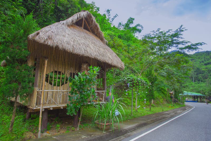 Hut on the Road in the Jungle on the Phuket in Thailand Stock Image ...