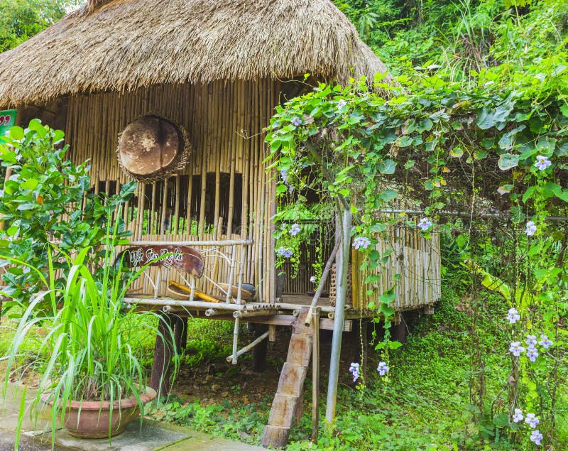 Hut on the Road in the Jungle on the Phuket in Thailand Stock Image ...