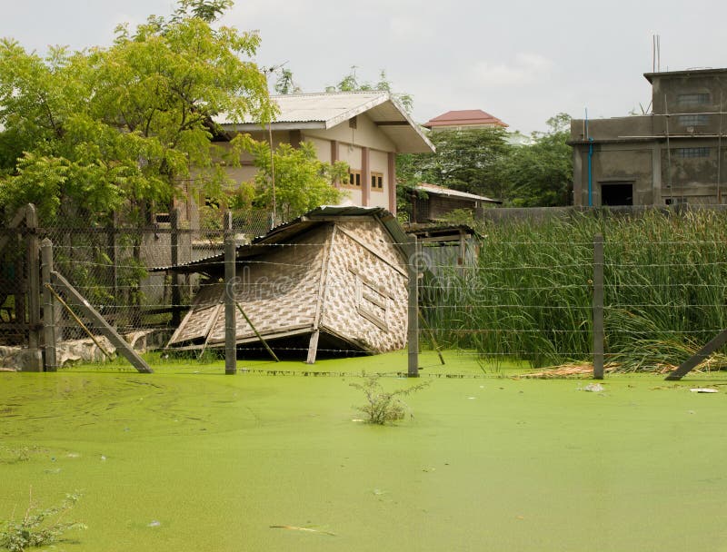 Hut Submerged in Mud in Mandalay Stock Image - Image of farm, climate ...