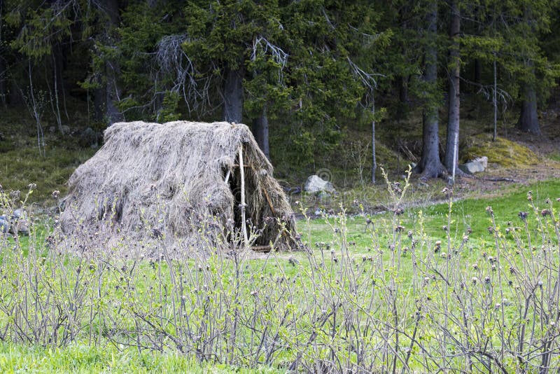 Hut Hut in Summer Forest Built with His Own Hands from Tree Branches ...