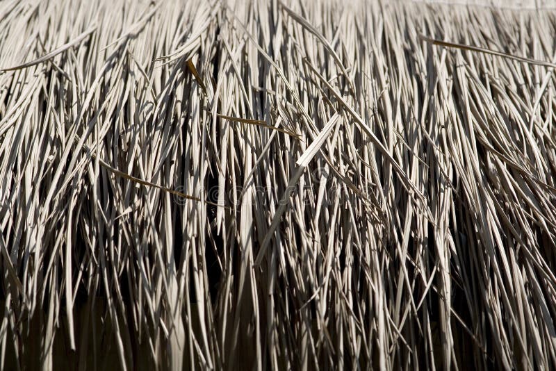 Hut Texture stock photo. Image of rustic, grid, nature - 3146404