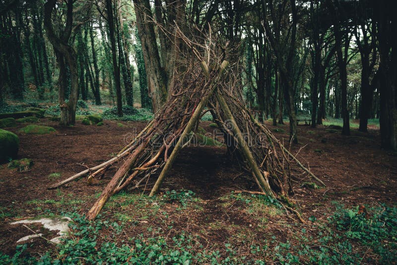 Hut of Twigs and Branches in Forest Stock Photo - Image of outdoor ...