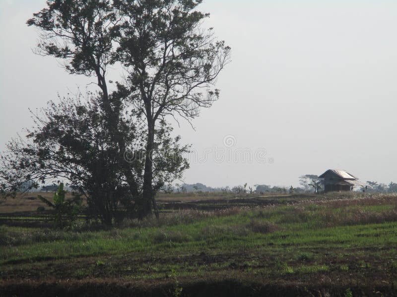 Nepal Tharu Village Stock Photos - Free & Royalty-Free Stock Photos ...