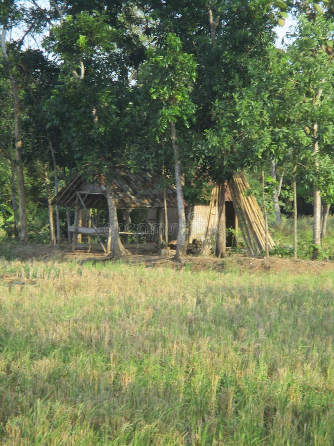 Nepal Tharu Village Saptary Stock Photos - Free & Royalty-Free Stock ...