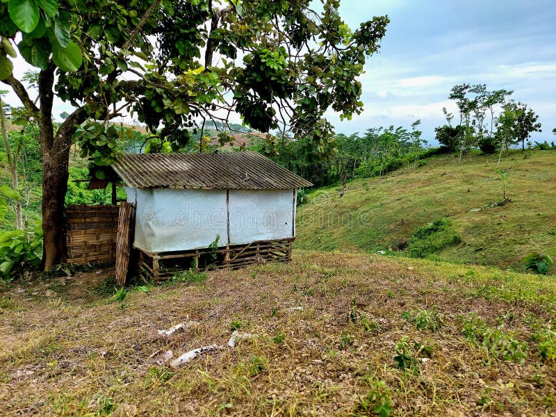 Hut Where Farmers Rest when Tired Stock Image - Image of woodland ...