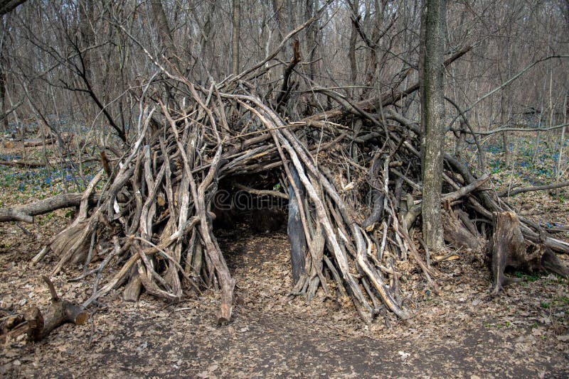 A Hut in a Wild Forest, Made of Trees. Stock Image - Image of autumn ...