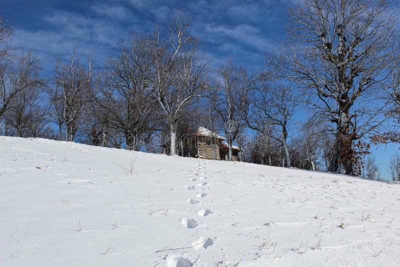 A Hut in the Woods and a Cold Winter Day in the Mountains. Stock Photo ...