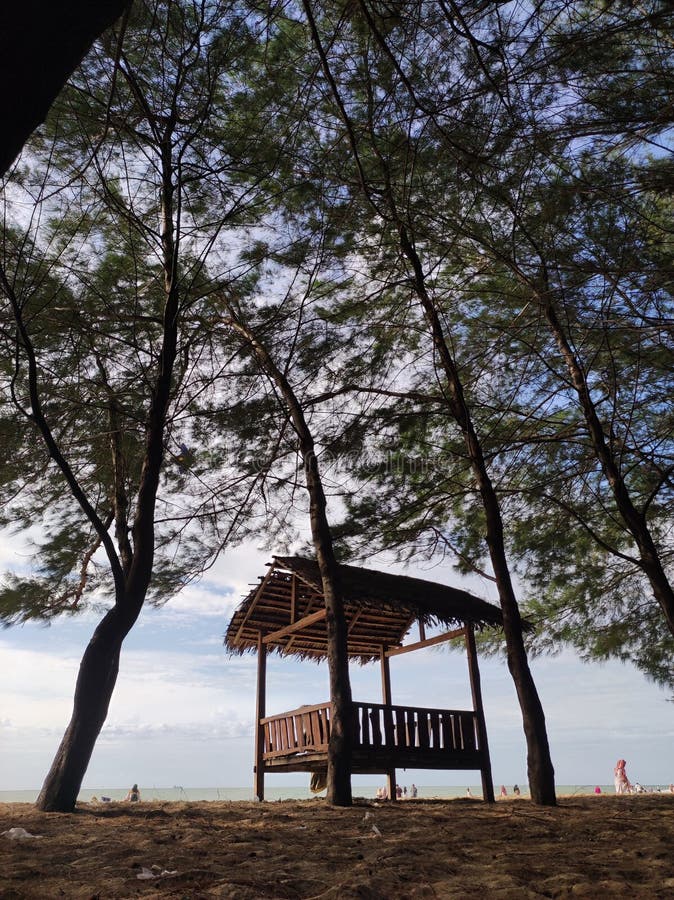 Huts and Pine Trees on a Beautiful Beach Stock Photo - Image of trees, huts: 331900730