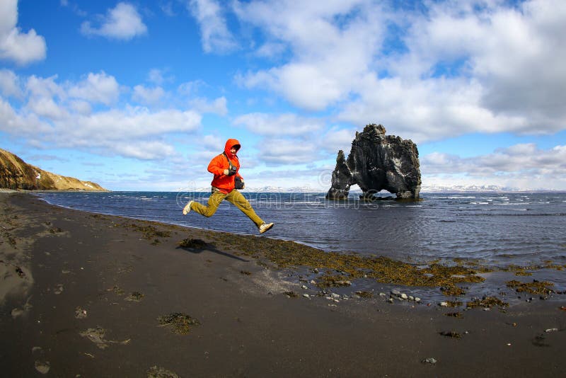 Hvitserkur Troll Rock Basalt Stack in Iceland Stock Image - Image of ...