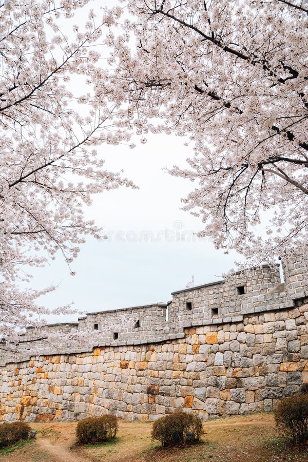 Hwaseong Fortress at Spring in Suwon, Korea Stock Image - Image of ...