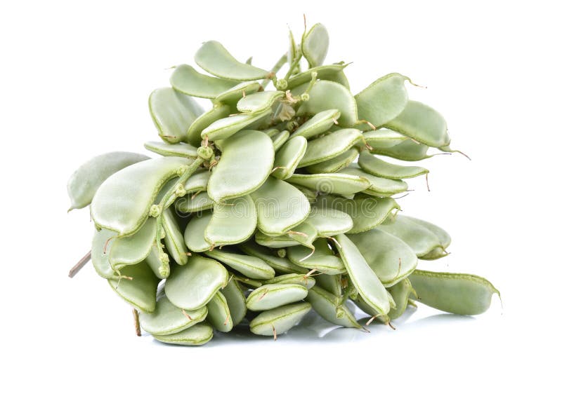 Hyacinth Bean Valor or Indian Papdi Beans Basket Isolated on White ...
