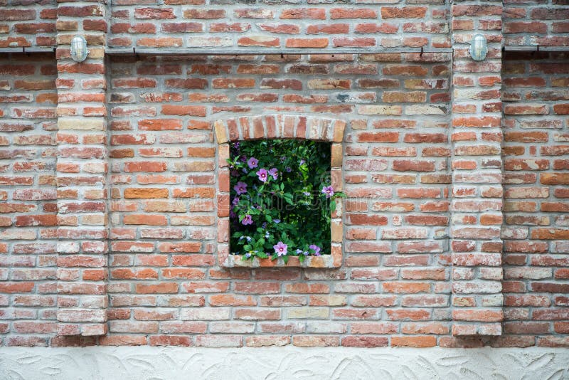 Hyacinth Bush in the Brick Wall Stock Image - Image of building, bush ...
