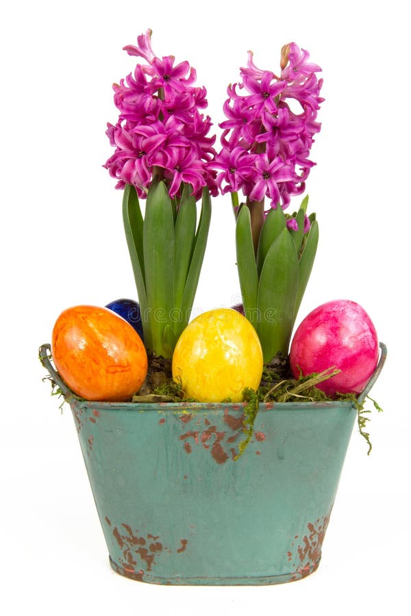 Hyacinth easter eggs 1 stock image. Image of pink, hyacinths - 36821875