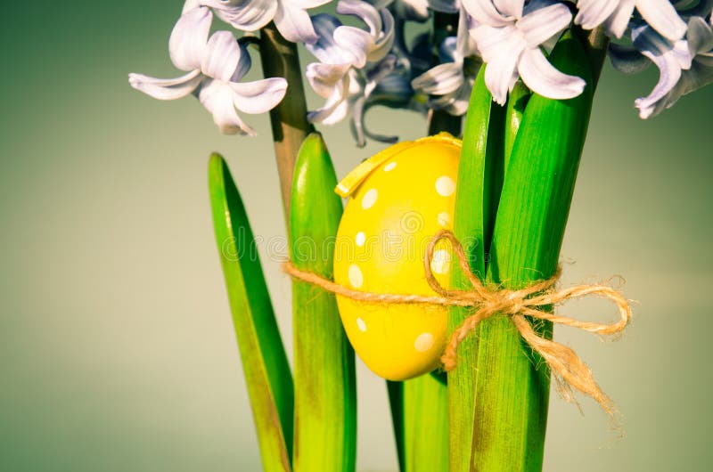 Hyacinth Flower and Easter Egg Stock Photo - Image of retro, plant ...