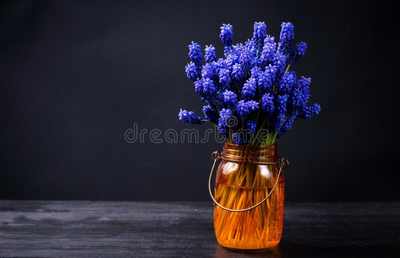 Hyacinth Flowers in an Orange Vase Stock Image - Image of leaf ...