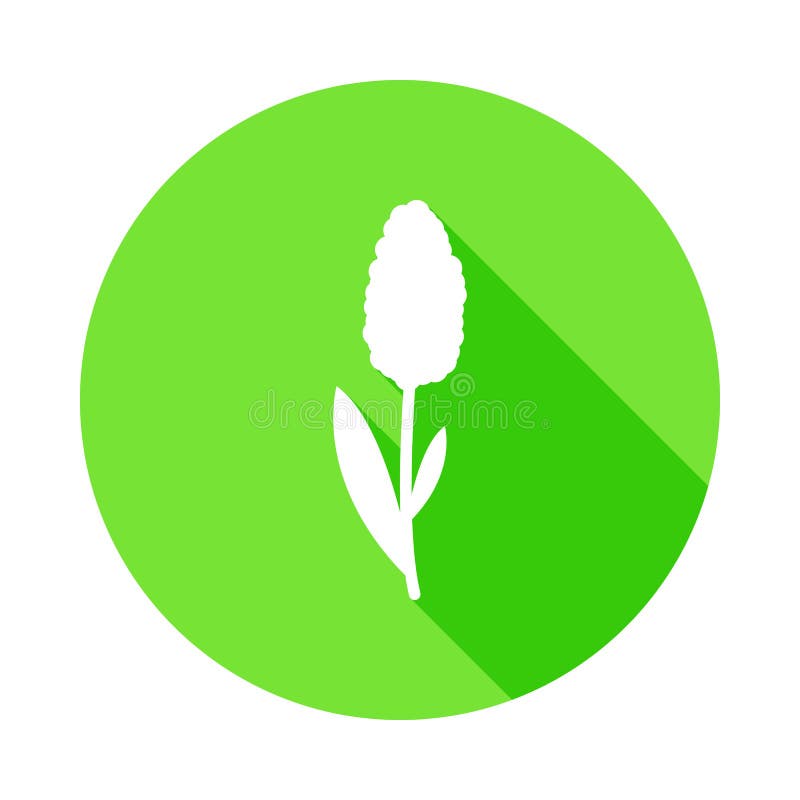 Hyacinth Icon in Flat Long Shadow Style Stock Illustration ...