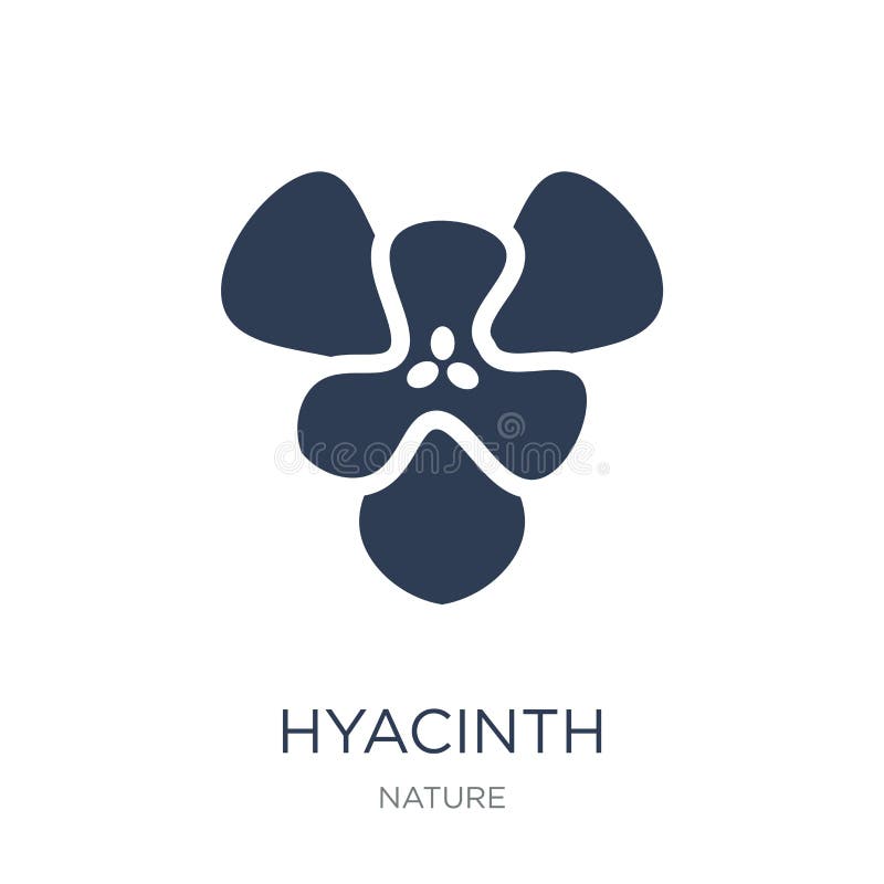 Hyacinth Icon. Trendy Flat Vector Hyacinth Icon On White Background ...