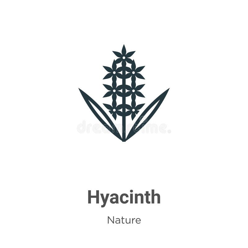 Hyacinth Vector Icon on White Background. Flat Vector Hyacinth Icon ...
