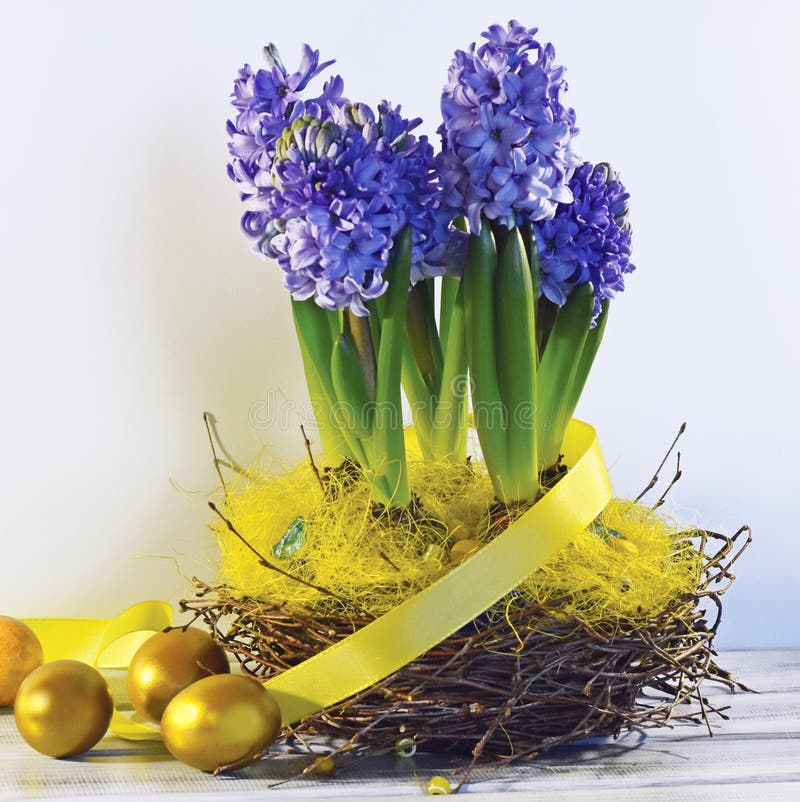 Hyacinths with Easter eggs stock photo. Image of decor - 88647288