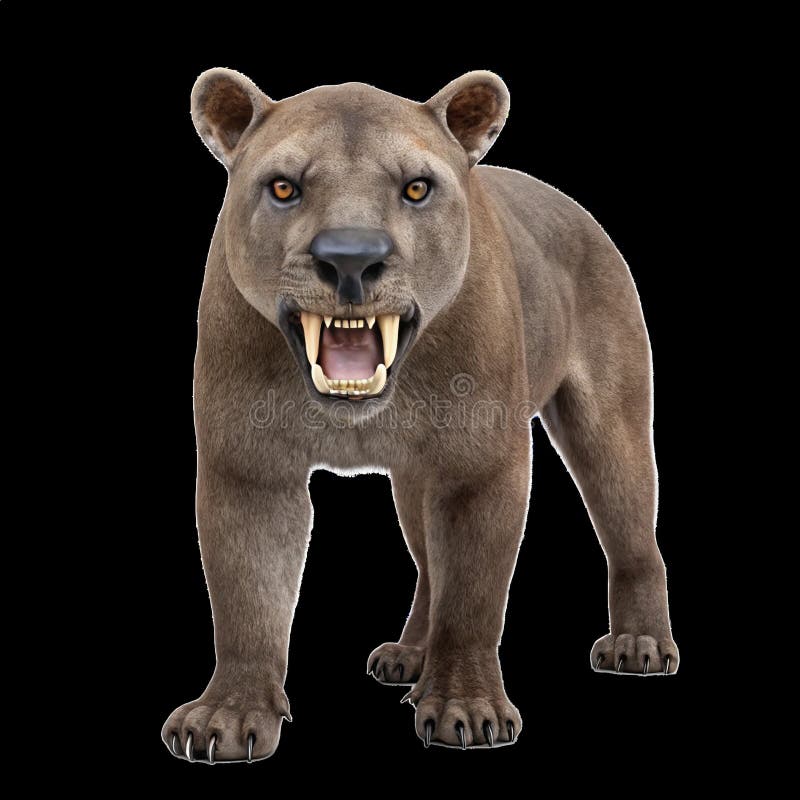 Bone Crunching Stock Illustrations – 1 Bone Crunching Stock ...