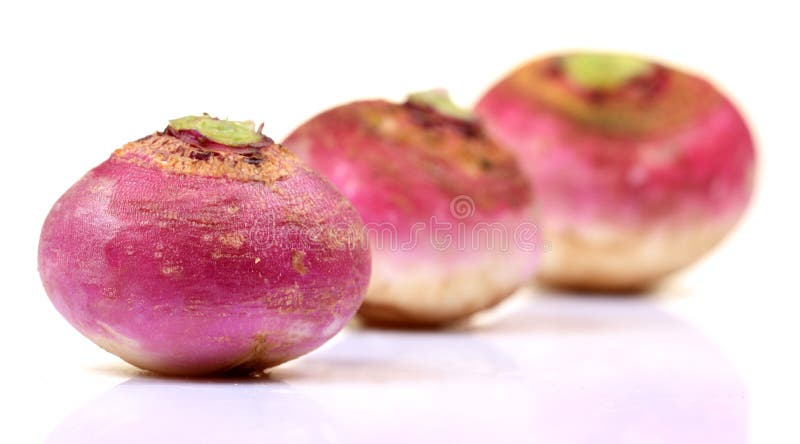 Hybrid red turnips stock photo. Image of bulb, concept - 17067616