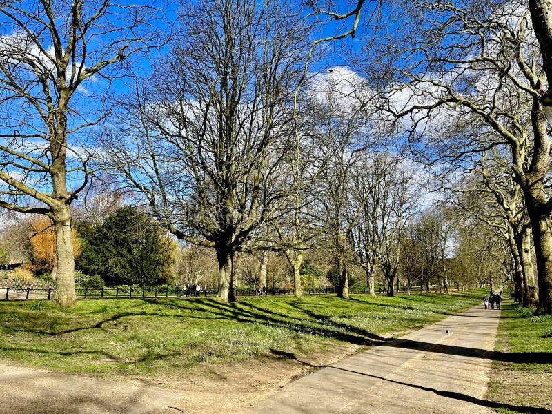 Hyde Park, London, England, in the Spring Stock Photo - Image of dogs ...