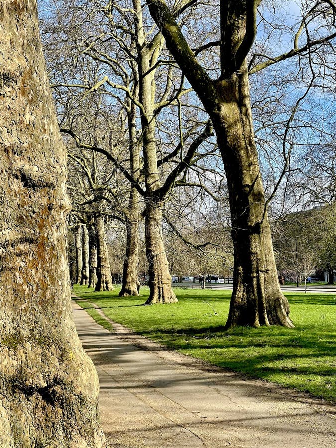 Hyde Park, London, England, in the Spring Stock Image - Image of park ...